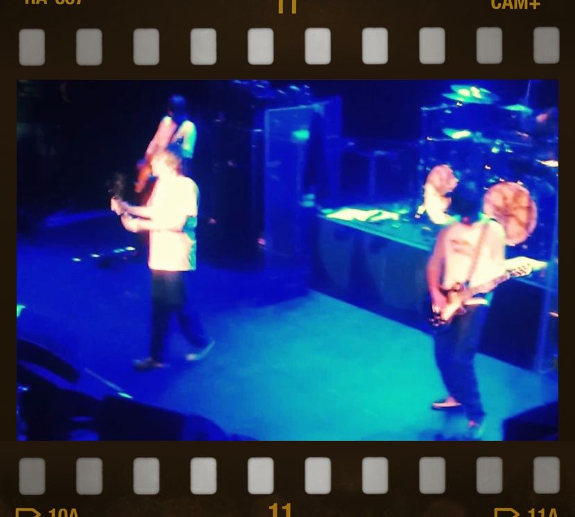 Roses at Warrington Parr Hall photos – The Stone Roses fansite